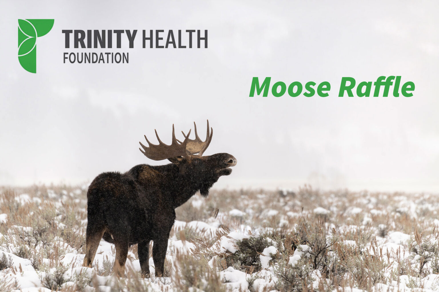 Moose Tag Raffle - Trinity Health